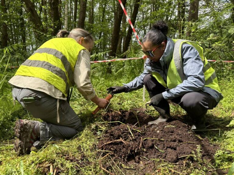 3,000 Fragments Of Lost WW2 Plane Recovered In English Field