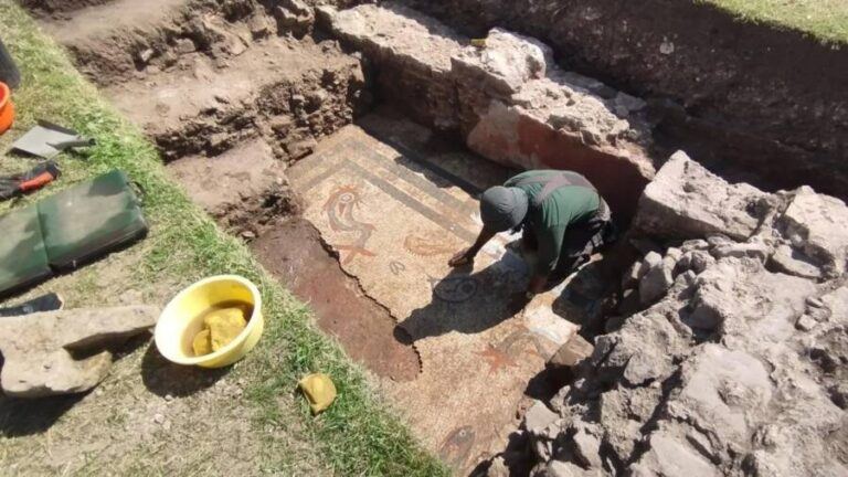 Ancient Roman Mosaic With Dolphins And Fish Found In England