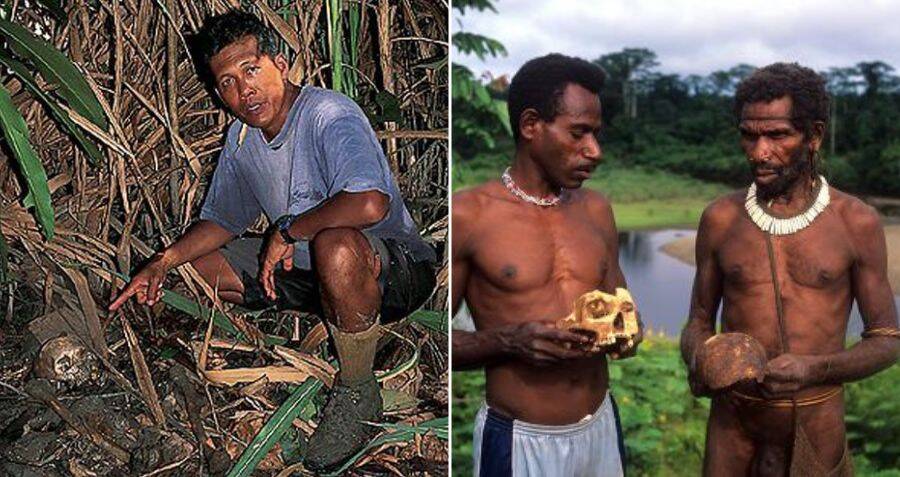 Korowai Tribe: The Remote Papuan People Who May Be Cannibals