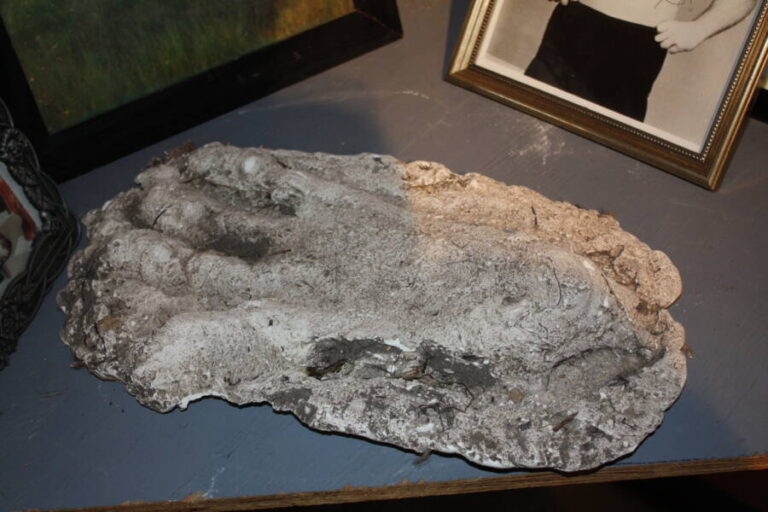 Skunk Ape, The Swamp Cryptid Known As Florida's Bigfoot