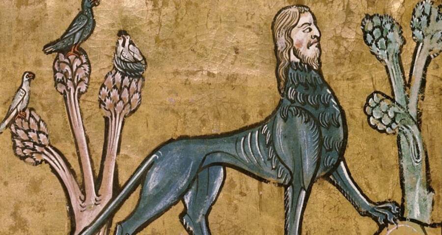Bestiaries, The Illustrated Animal Encyclopedias Of The Middle Ages