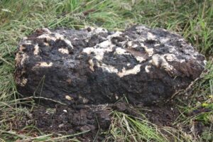 Irish Farmer Finds 50-Pound Bog Butter, Possibly From Bronze Age