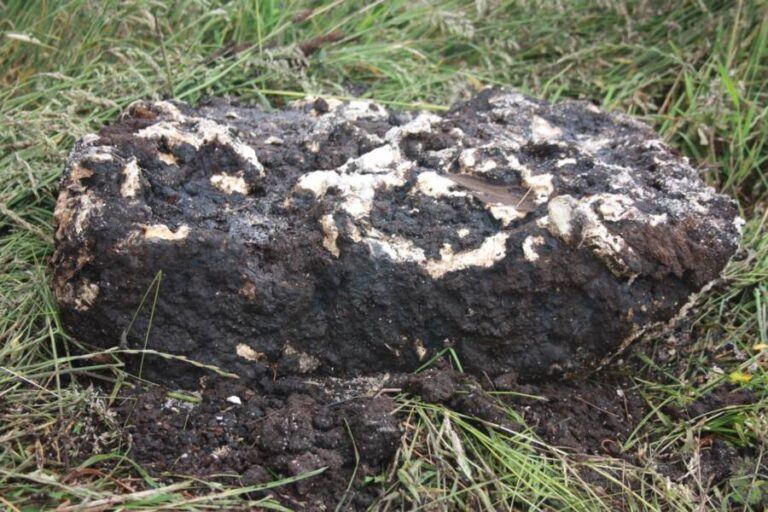 Irish Farmer Finds 50-Pound Bog Butter, Possibly From Bronze Age