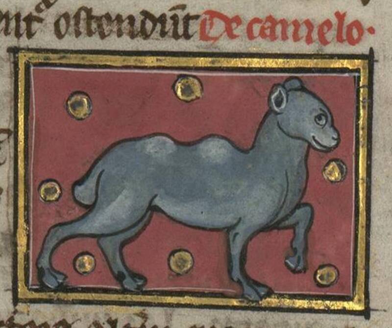 Bestiaries, The Illustrated Animal Encyclopedias Of The Middle Ages