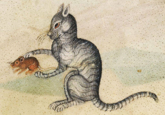 Bestiaries, The Illustrated Animal Encyclopedias Of The Middle Ages