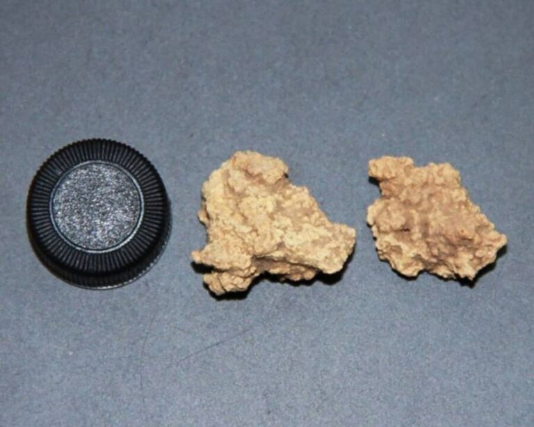 3,600-Year-Old Mummy Found Buried With World's Oldest Cheese