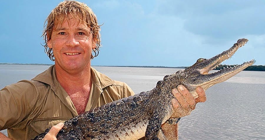The Life And Death Of Steve Irwin The Crocodile Hunter