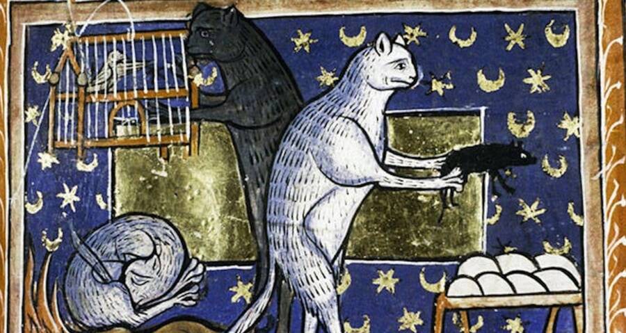 Bestiaries, The Illustrated Animal Encyclopedias Of The Middle Ages