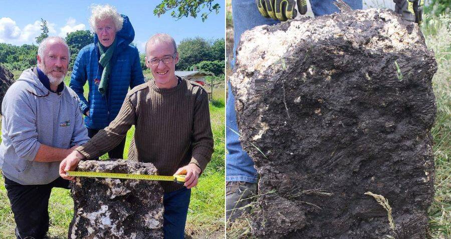 Irish Farmer Finds 50-Pound Bog Butter, Possibly From Bronze Age