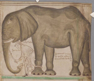 Bestiaries, The Illustrated Animal Encyclopedias Of The Middle Ages