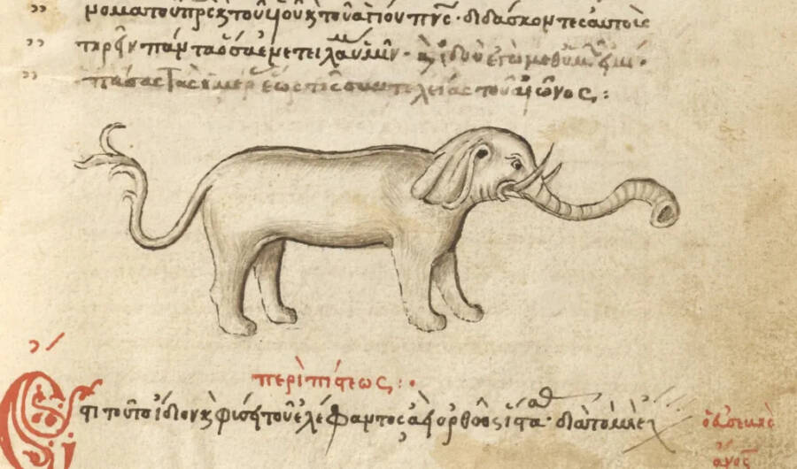 Bestiaries, The Illustrated Animal Encyclopedias Of The Middle Ages