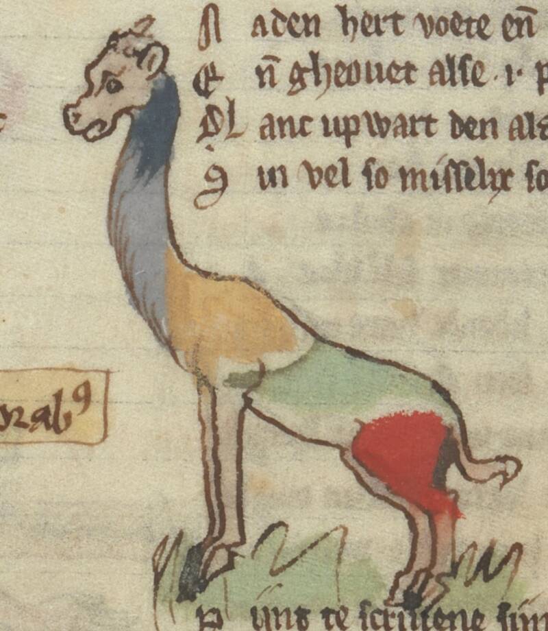 Bestiaries, The Illustrated Animal Encyclopedias Of The Middle Ages