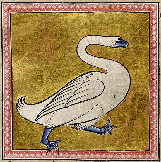 Bestiaries, The Illustrated Animal Encyclopedias Of The Middle Ages