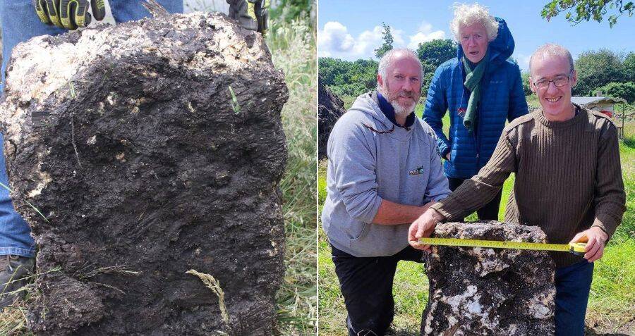 Irish Farmer Finds 50-Pound Bog Butter, Possibly From Bronze Age