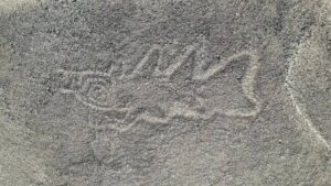 A.I. Identifies 303 Previously Unknown Nazca Drawings In Peru