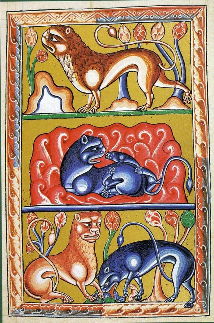 Bestiaries, The Illustrated Animal Encyclopedias Of The Middle Ages
