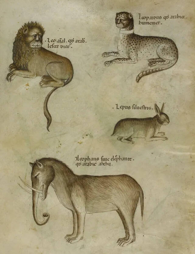 Bestiaries, The Illustrated Animal Encyclopedias Of The Middle Ages