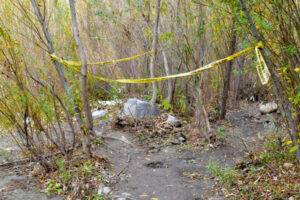 'Glee' Actor Mark Salling's Death And The Dark Story Behind It