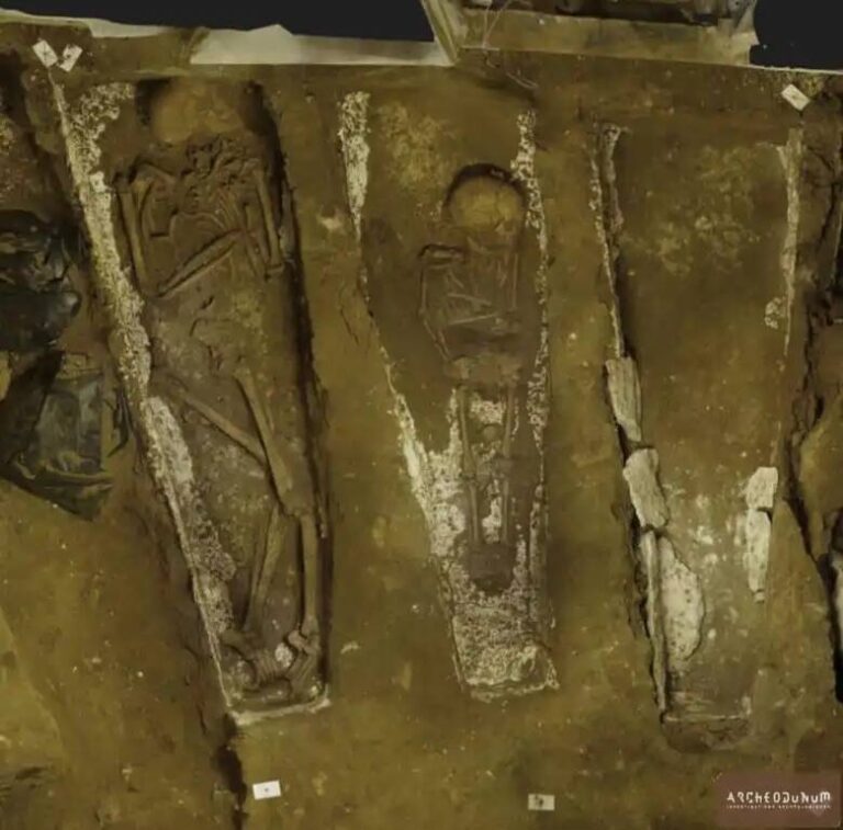 Cellar Renovation Reveals Medieval Burials Beneath French Home
