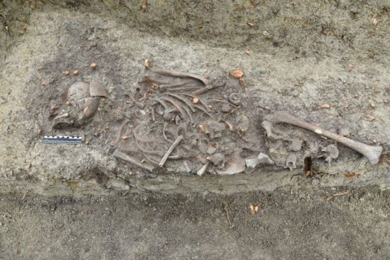 Child 'Vampire' Burial Found At Medieval Bishop's Palace In Poland