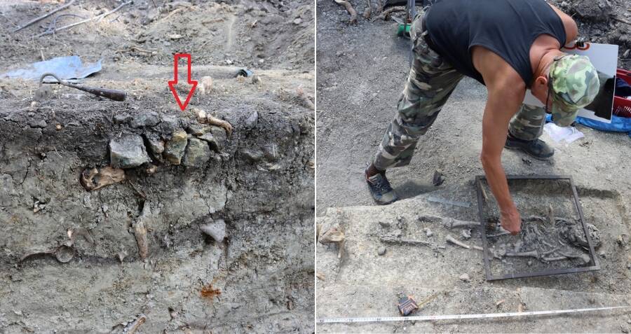 Child 'Vampire' Burial Found At Medieval Bishop's Palace In Poland