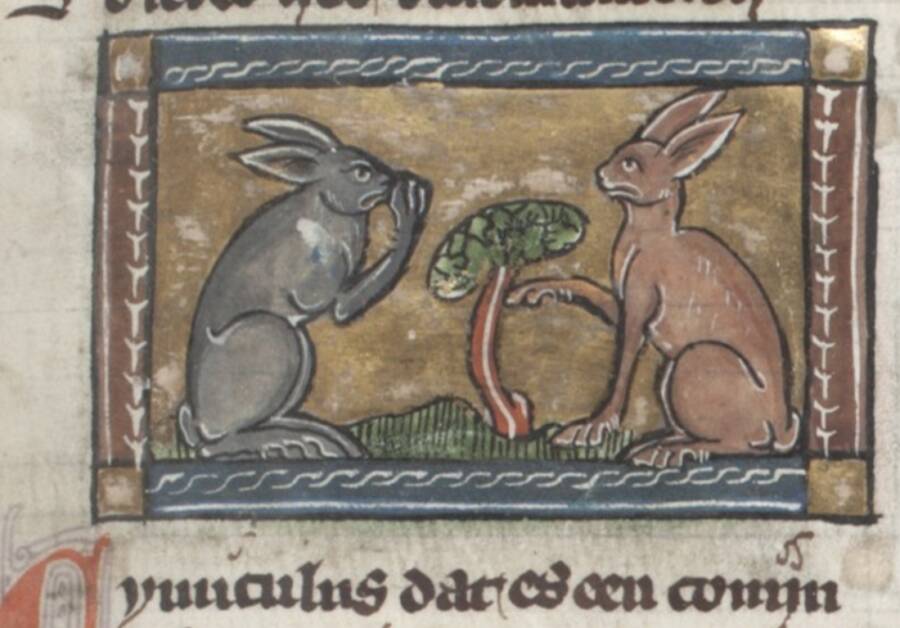 Bestiaries, The Illustrated Animal Encyclopedias Of The Middle Ages