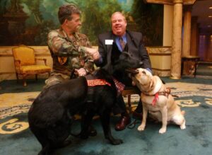 9/11 Rescue Dogs: The Heroic Canines Who Helped Save Lives