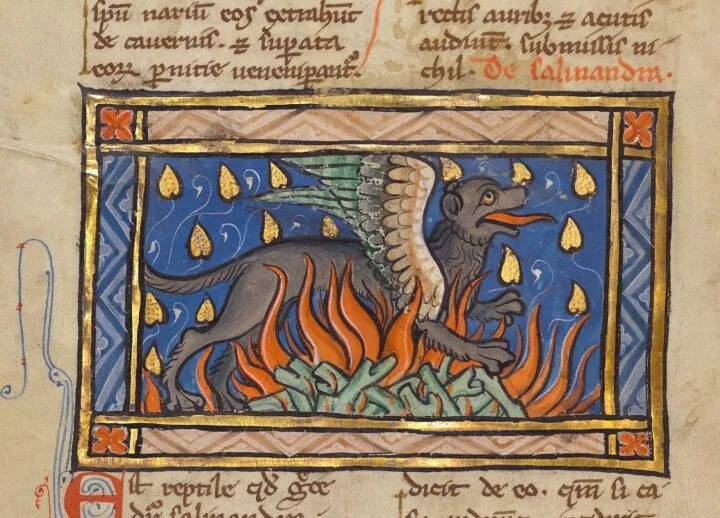 Bestiaries, The Illustrated Animal Encyclopedias Of The Middle Ages