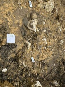 Ancient Comb Found Inside Alemannic Tomb In Germany