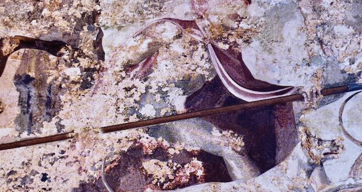 Alexander The Great's Tunic May Have Been Found In Greece