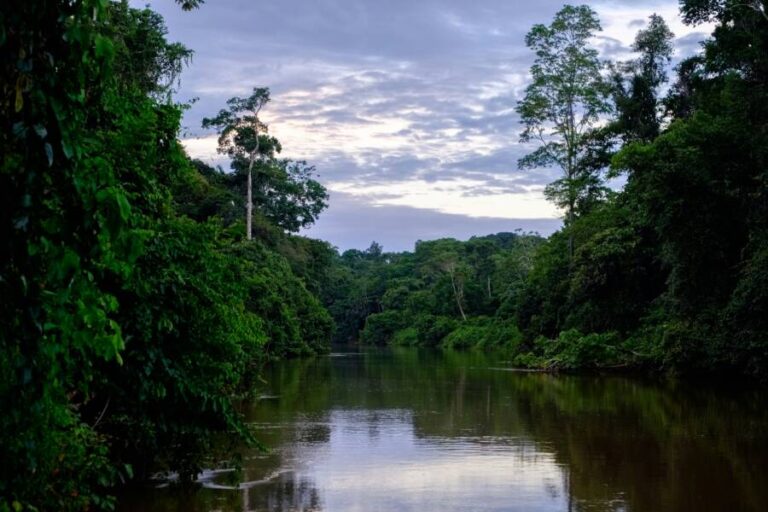 A Lost Colonial Settlement Was Just Discovered In The Amazon