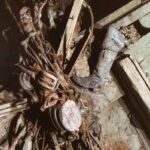 The Wreck Of The Endurance Has Been Reconstructed In 3D