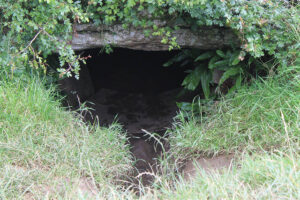 Samhain: Celtic Pagans’ Ancient Predecessor To Halloween