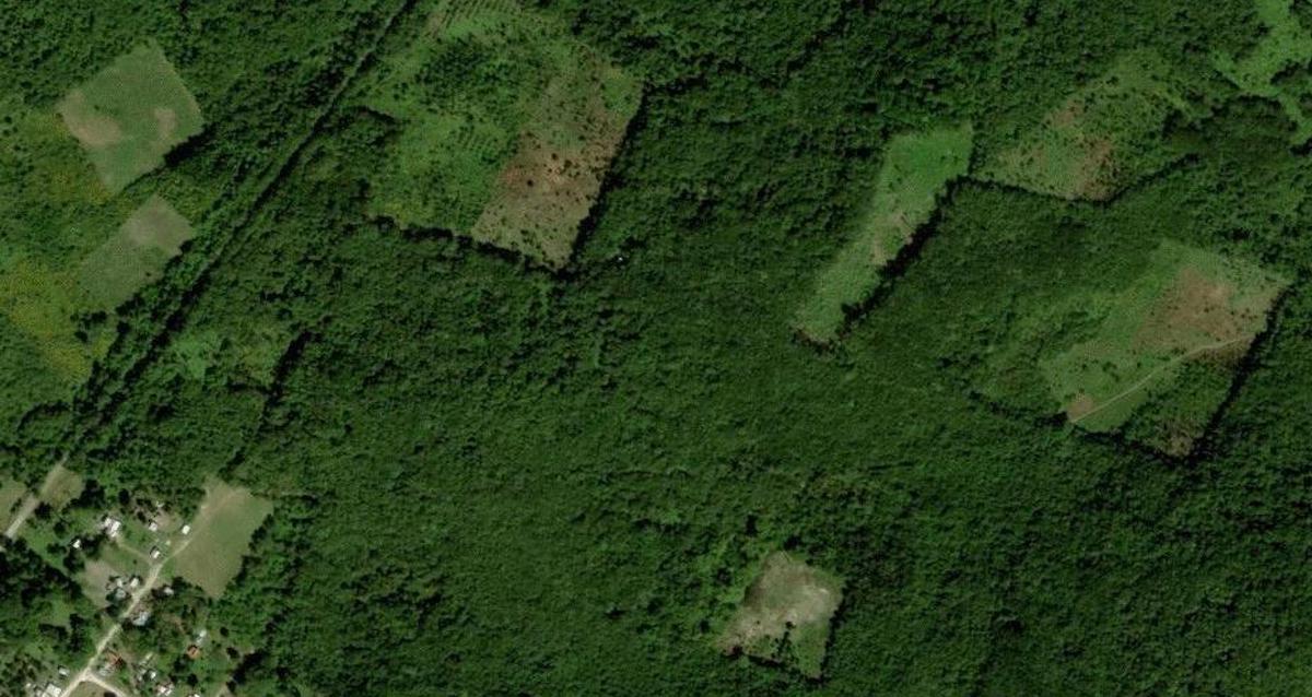 Lost Maya City Discovered Deep Inside Mexican Jungle