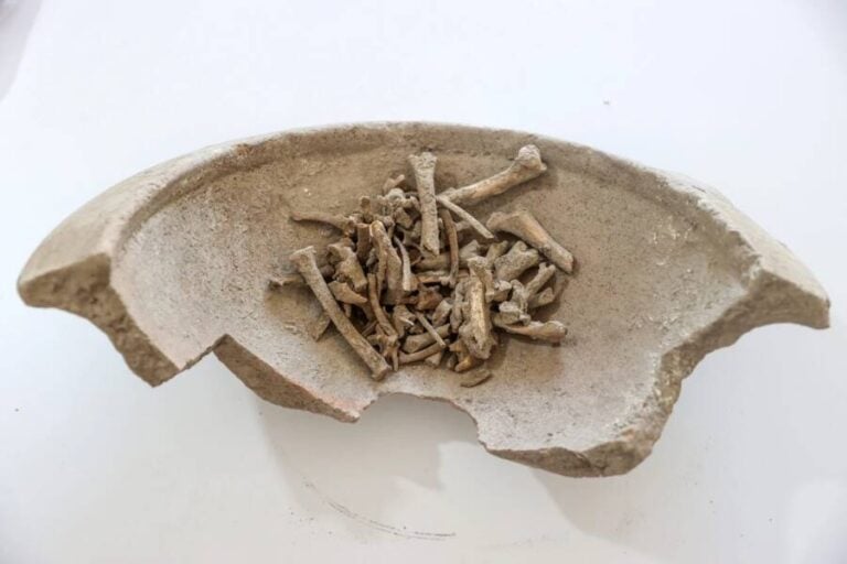 Ancient Skeletons Of Headless Infants Found In Türkiye