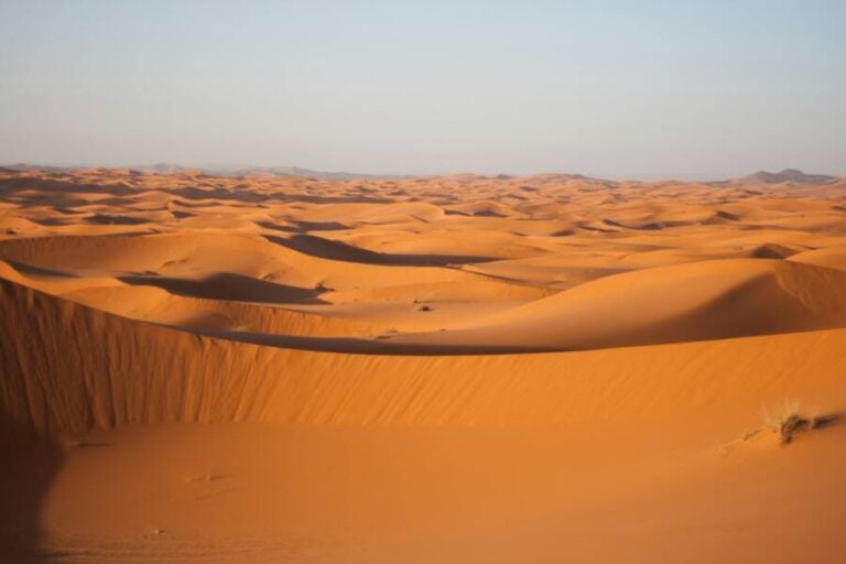 The Sahara Desert Has Flooded For The First Time In Decades