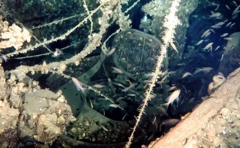 British WW2 Sub Discovered 81 Years After It Vanished At Sea