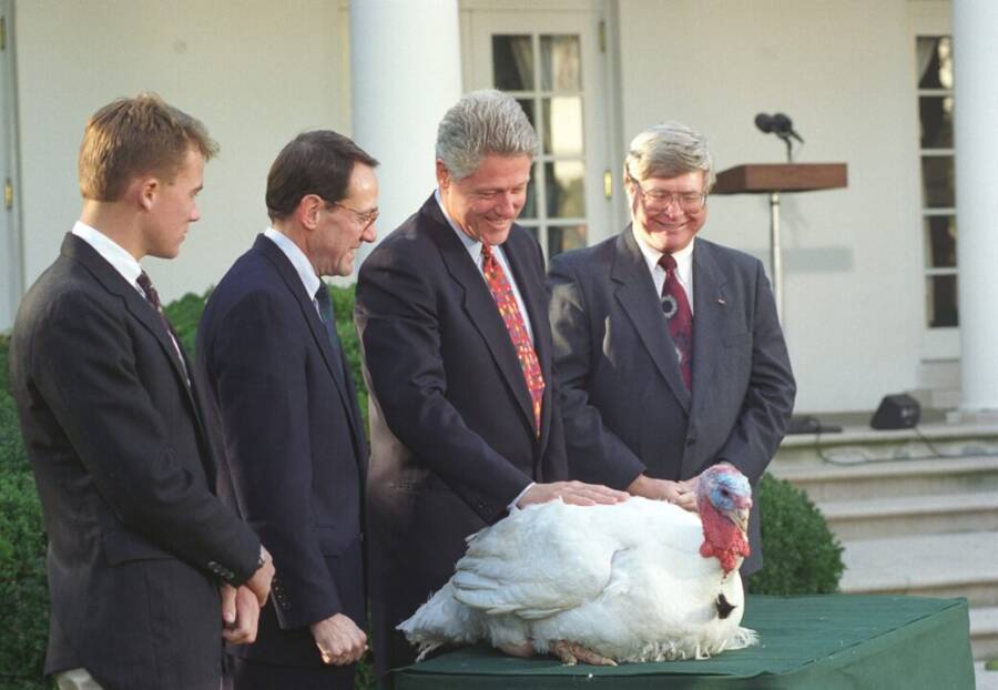 Turkey Pardons: Inside The White House Thanksgiving Tradition