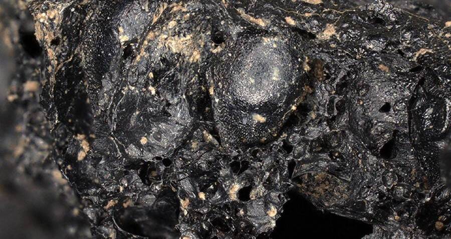 2,000-Year-Old Fig With Roman Origins Found In Ireland