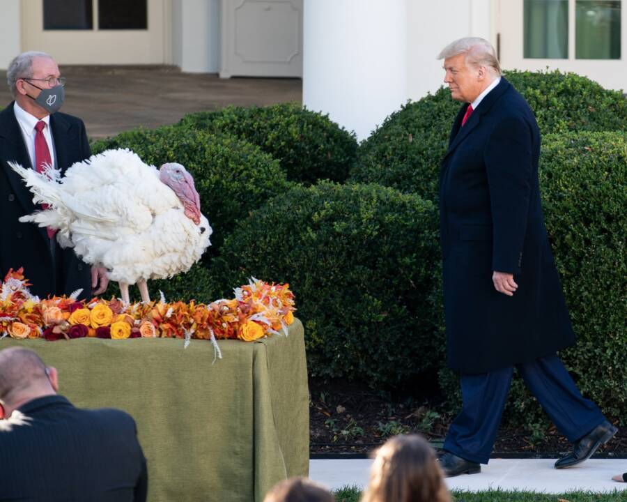 Turkey Pardons: Inside The White House Thanksgiving Tradition