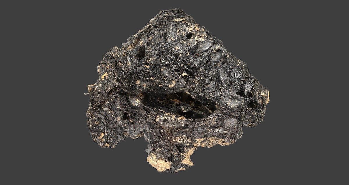 2,000-Year-Old Fig With Roman Origins Found In Ireland