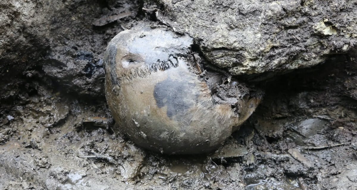 'Well Man' Story From Norse Mythology Confirmed By Researchers