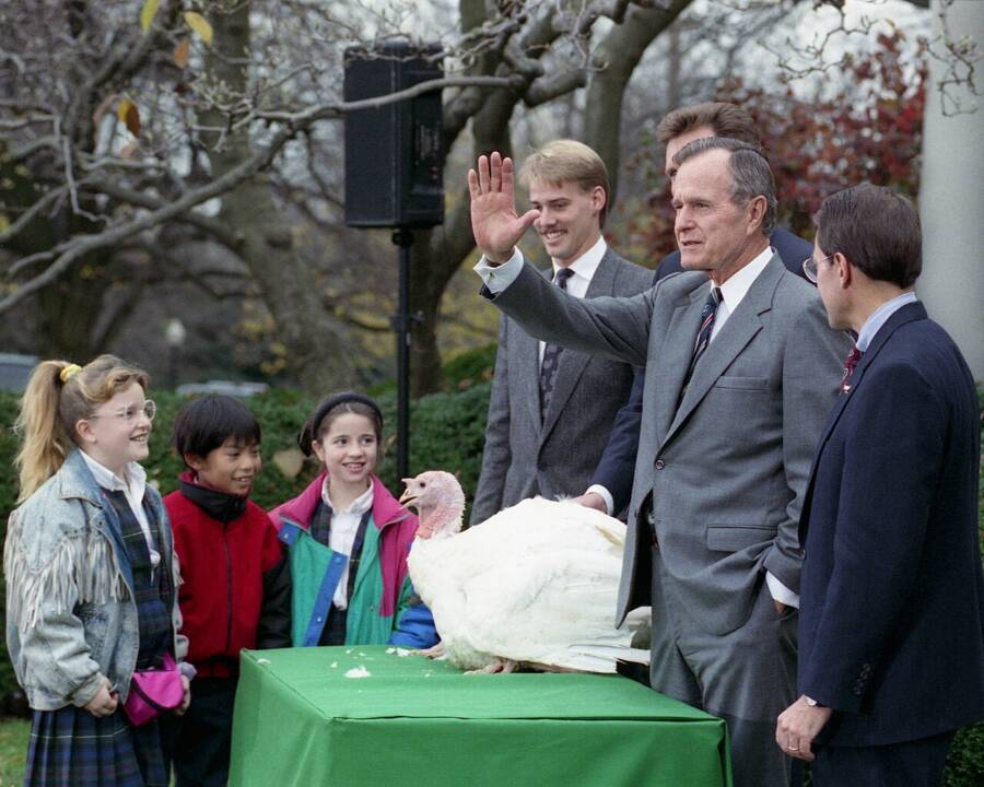 Turkey Pardons: Inside The White House Thanksgiving Tradition