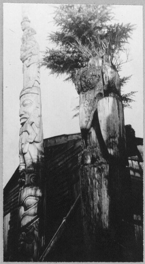 Totem Poles: Inside Their Meaning And Purpose In Indigenous Tradition