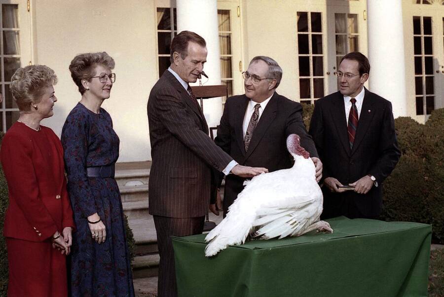 Turkey Pardons: Inside The White House Thanksgiving Tradition