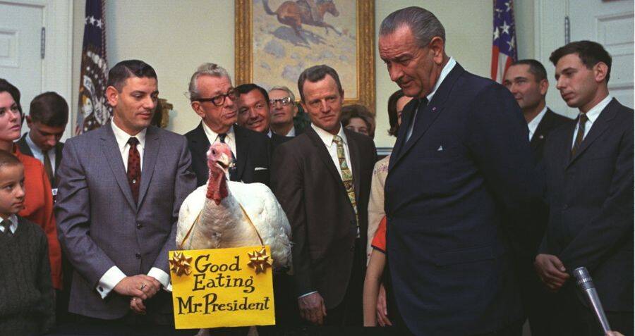 Turkey Pardons: Inside The White House Thanksgiving Tradition