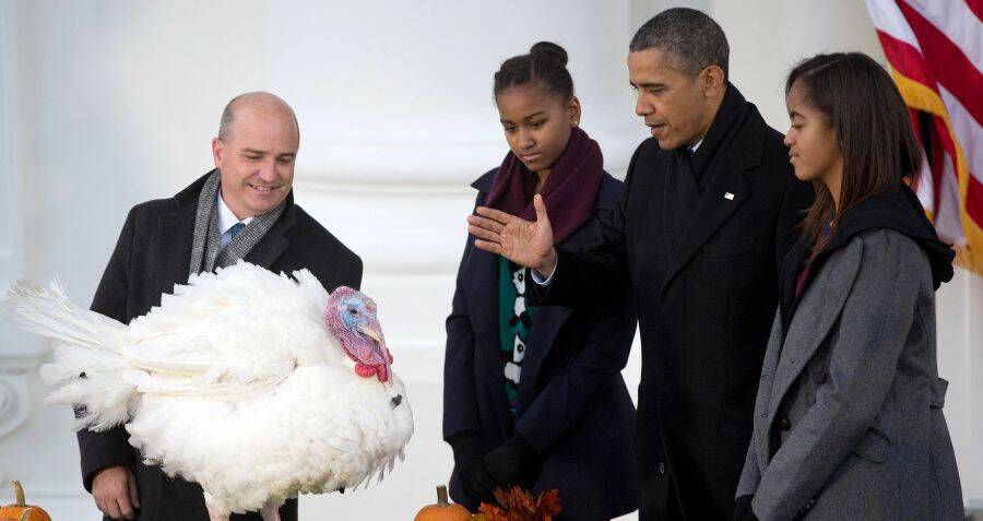 Turkey Pardons: Inside The White House Thanksgiving Tradition