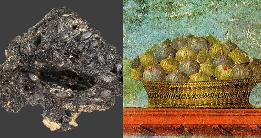 2,000-Year-Old Fig With Roman Origins Found In Ireland