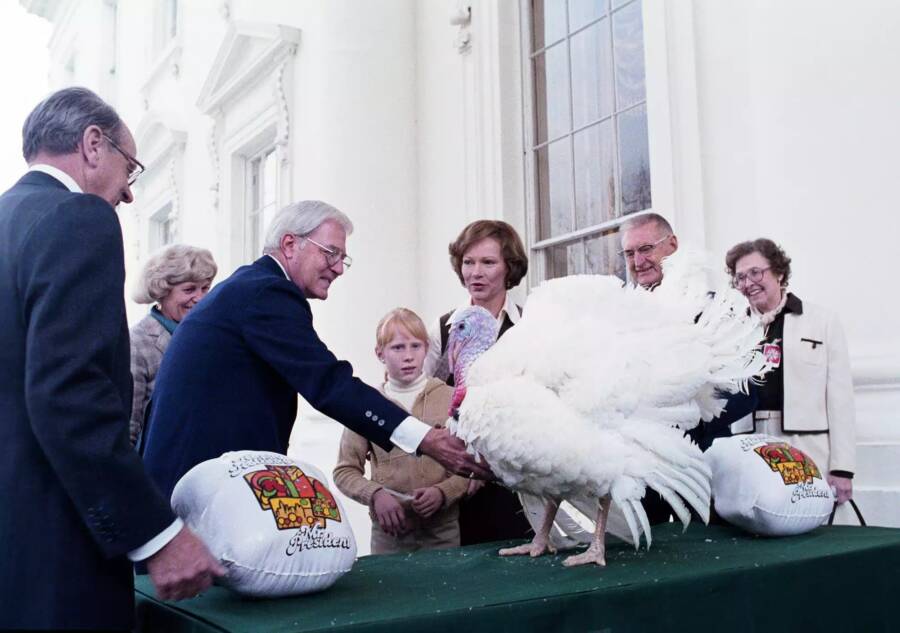 Turkey Pardons: Inside The White House Thanksgiving Tradition