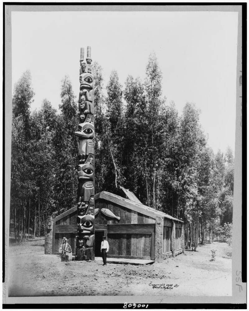 Totem Poles: Inside Their Meaning And Purpose In Indigenous Tradition